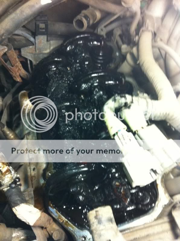 Valve Cover Removal (Sludge Check) PICS - Toyota 4Runner Forum ...