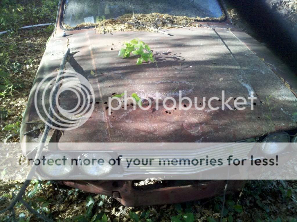 TCL! Can you name this car?? Rust bucket edition | VW Vortex ...